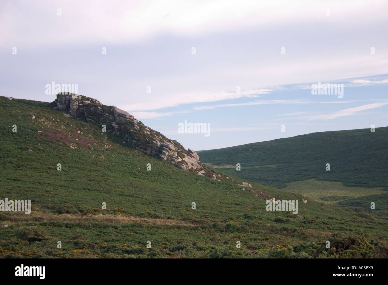 Rosewall hi-res stock photography and images - Alamy