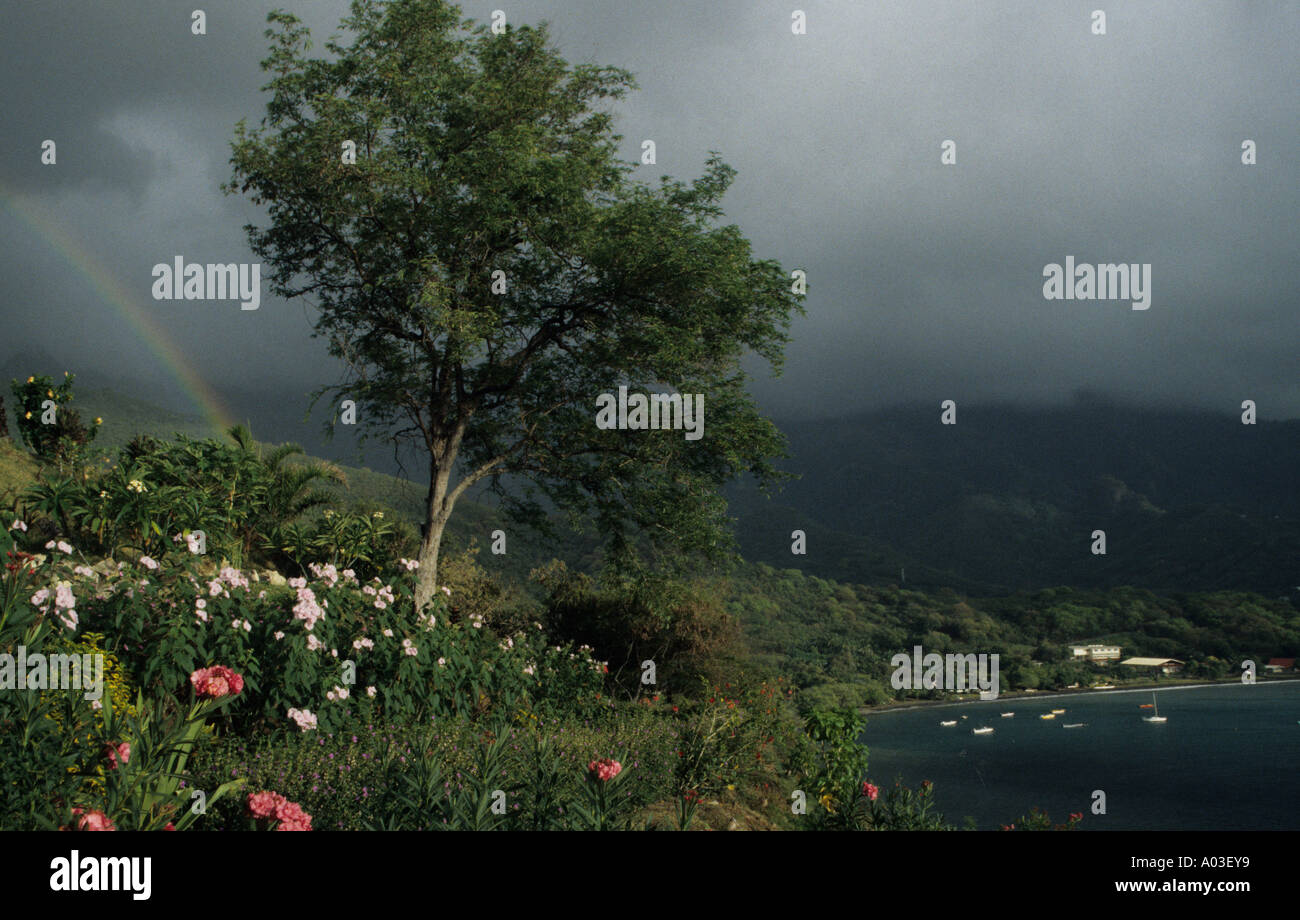 Yachts in Taiohae Bay Nuku Hiva the Marquesas Islands French Polynesia ...