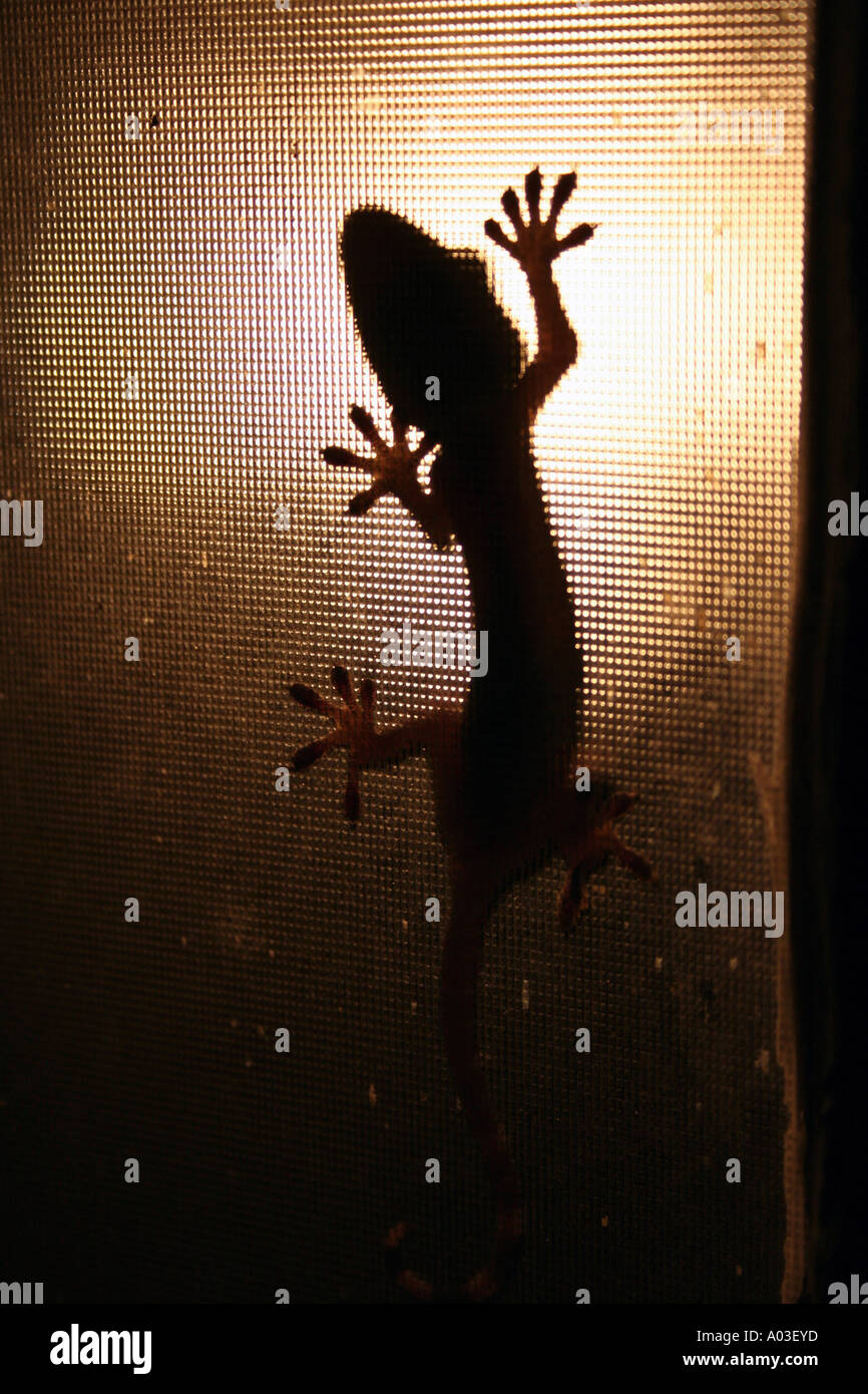 Indonesia outline hi-res stock photography and images - Alamy