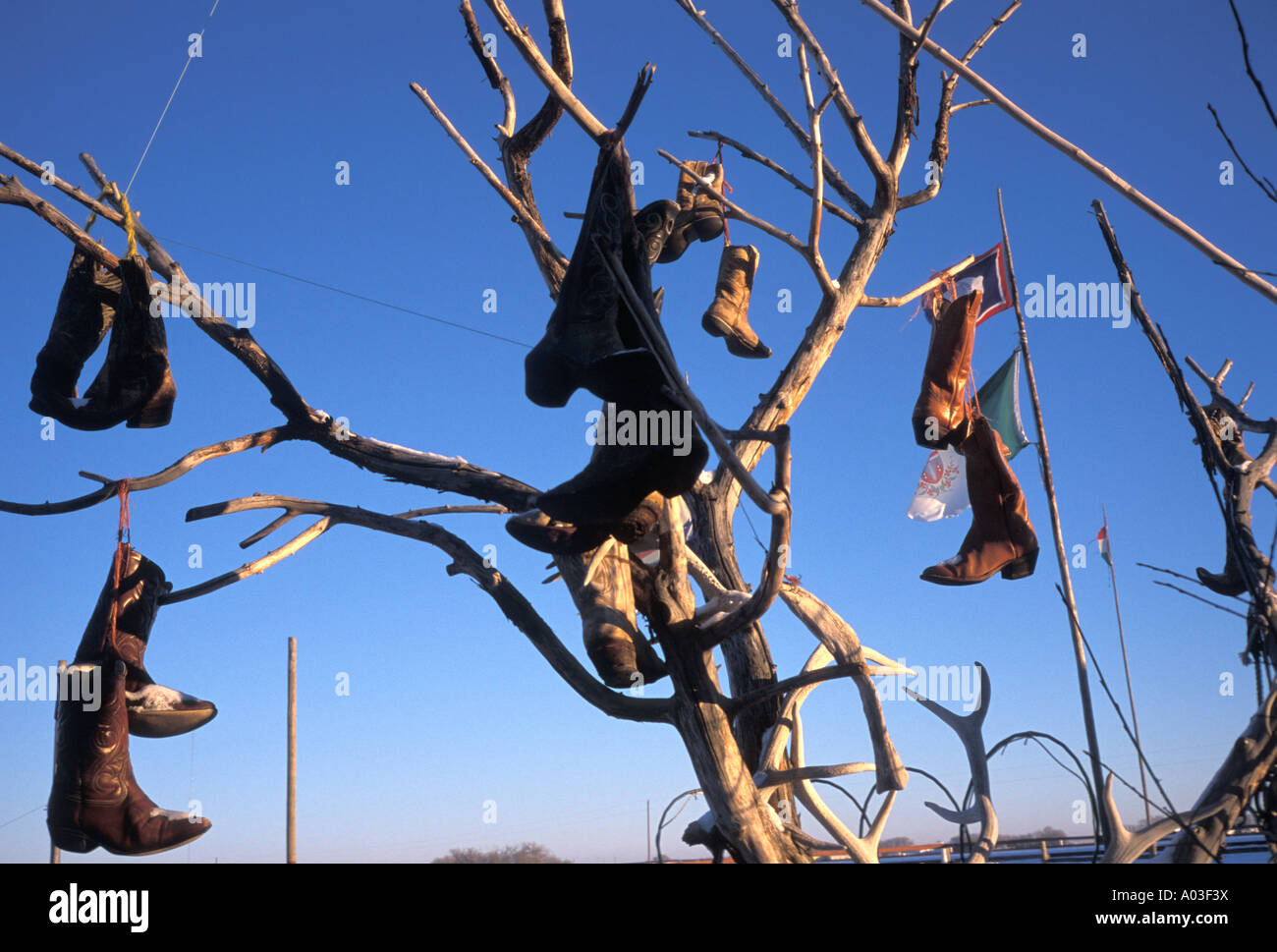 Stock Image of Cowboy Boots on Dead Tree in Southern Alberta Canada ...