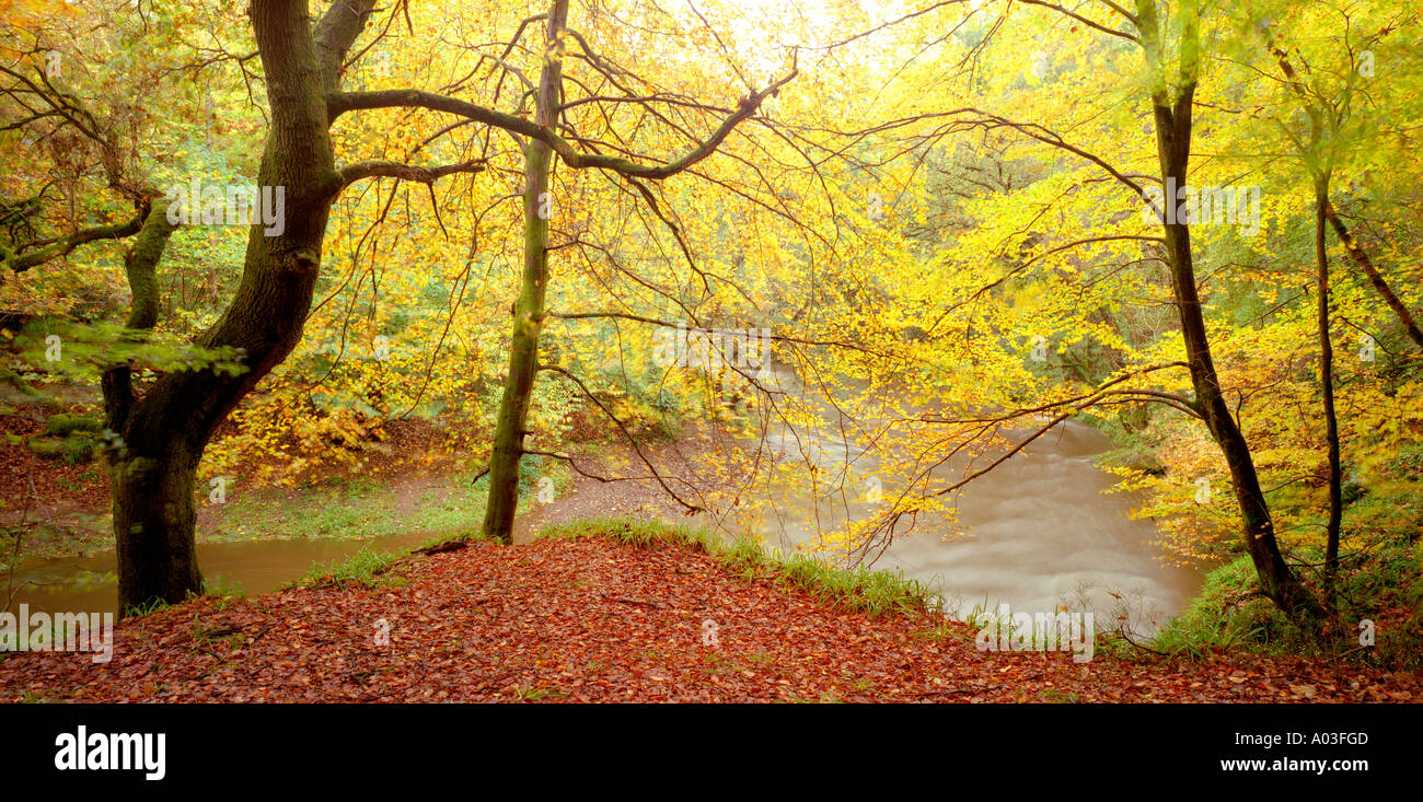 Vicar’s bridge scotland hi-res stock photography and images - Alamy