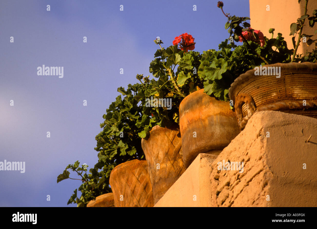 Stock image of Mexican balcony with flowerpots in Taxco Mexico at ...