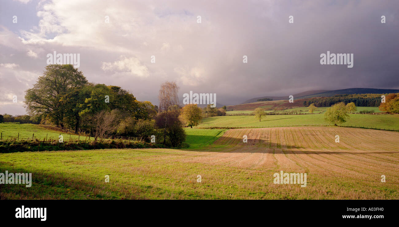 Clackmannan High Resolution Stock Photography and Images - Alamy