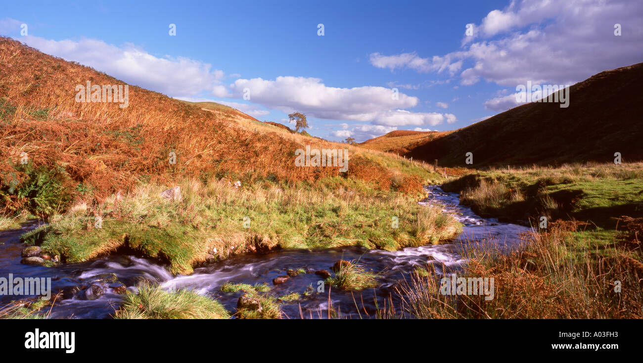 Clackmannan hi-res stock photography and images - Alamy