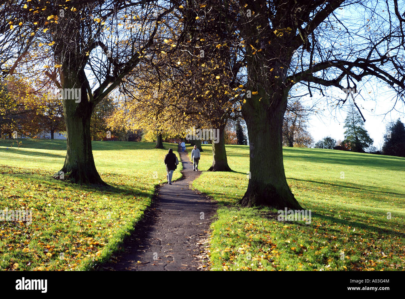 Abbey Fields in autumn, Kenilworth, Warwickshire, England, UK Stock ...