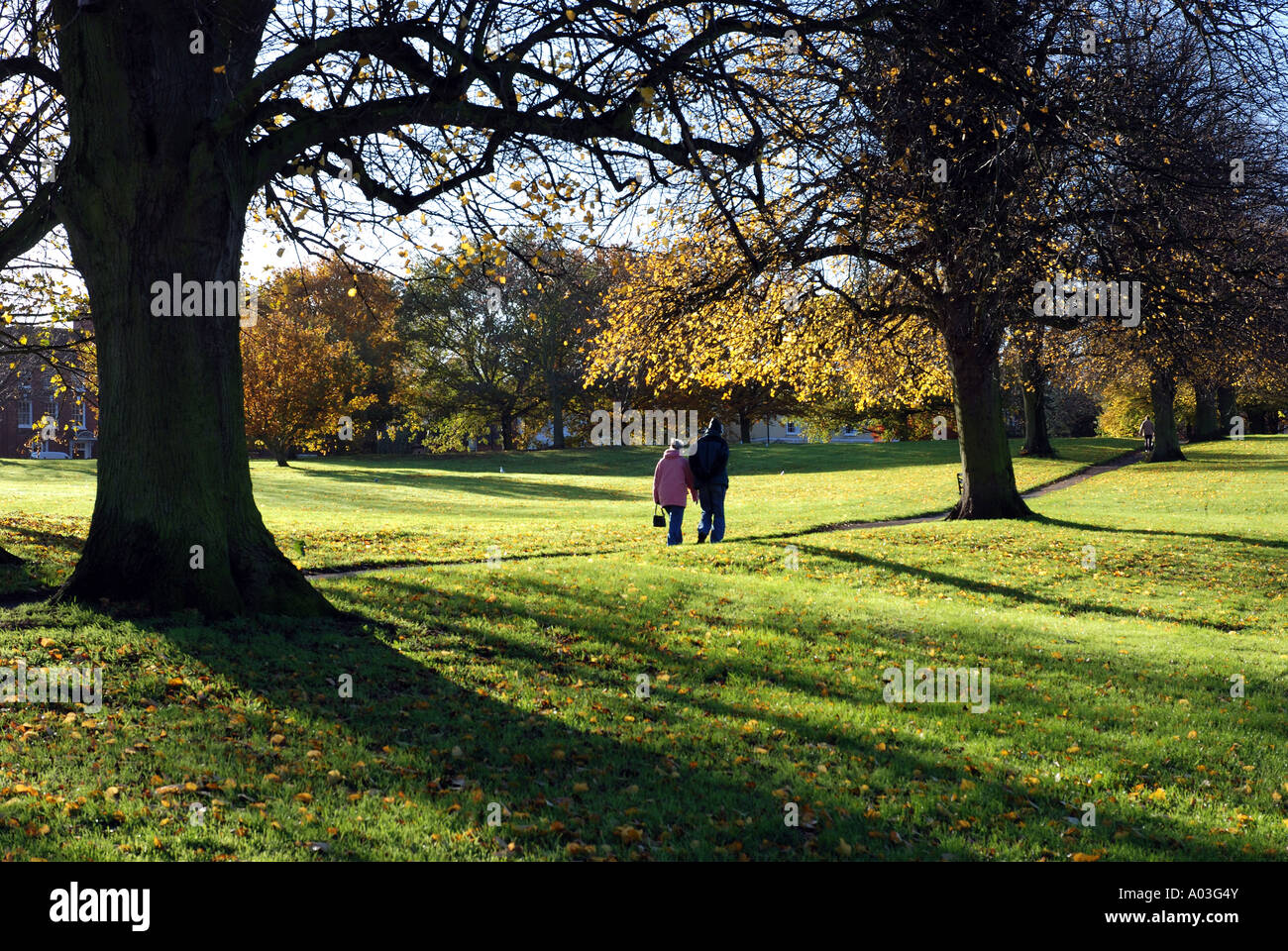 Abbey Fields in autumn, Kenilworth, Warwickshire, England, UK Stock ...