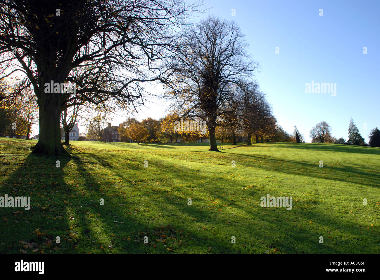 Abbey Fields in autumn, Kenilworth, Warwickshire, England, UK Stock ...