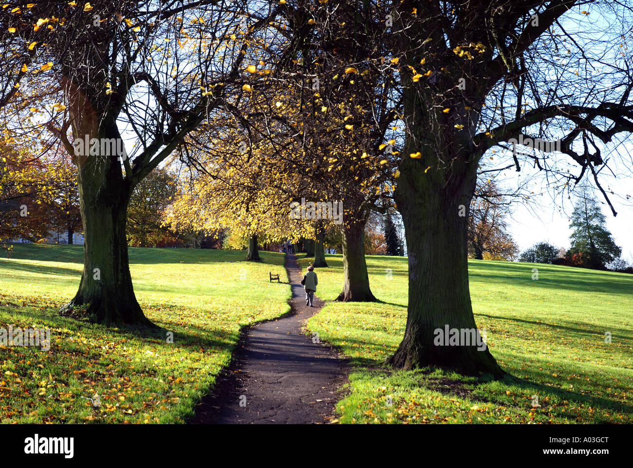 Abbey Fields in autumn, Kenilworth, Warwickshire, England, UK Stock ...