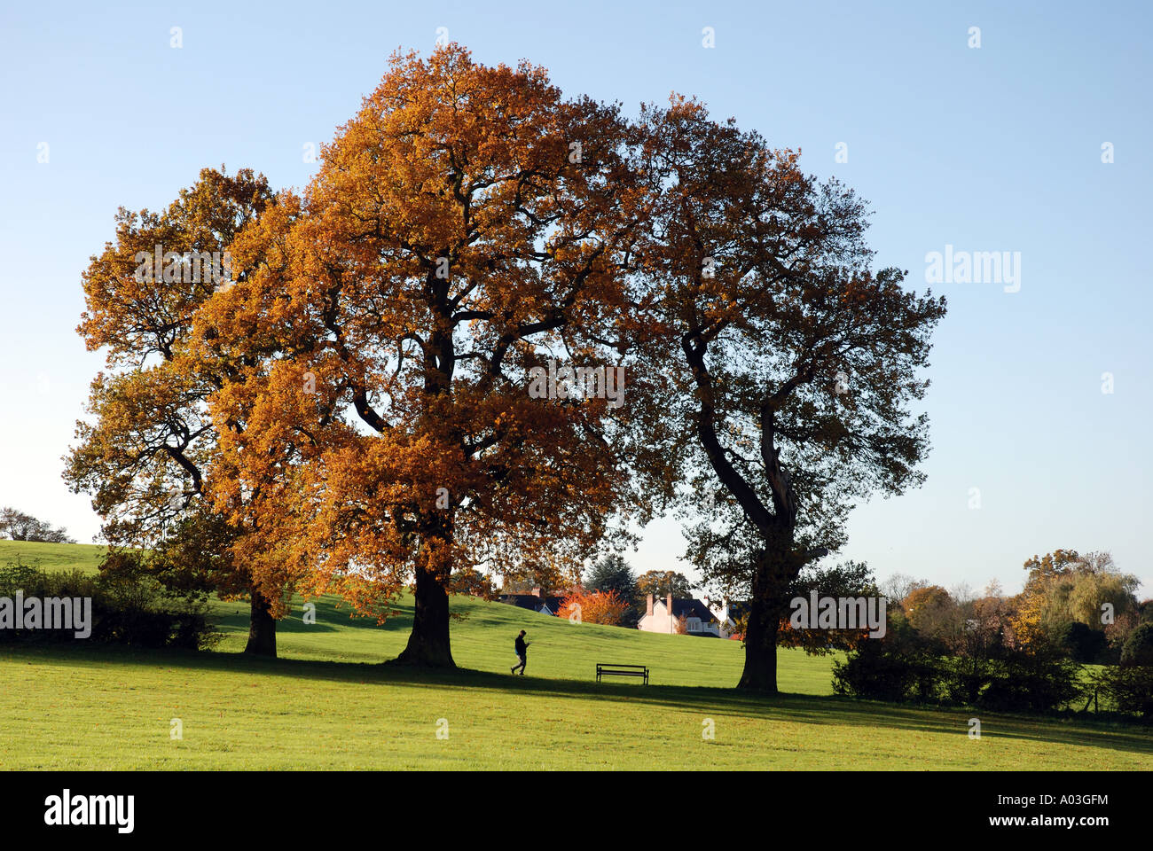 Abbey Fields in autumn, Kenilworth, Warwickshire, England, UK Stock ...