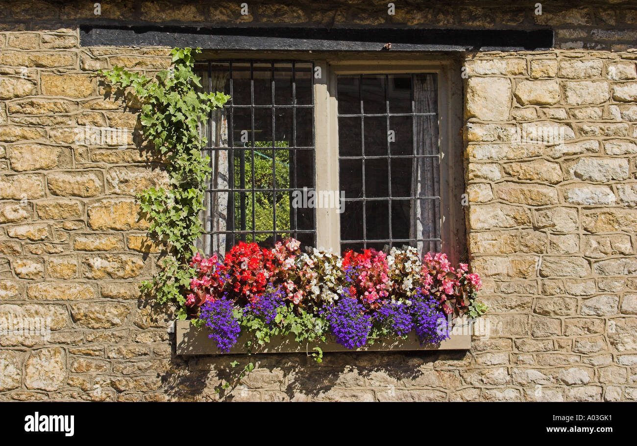 Cottage window sill in late summer in the picturesque village of Castle ...