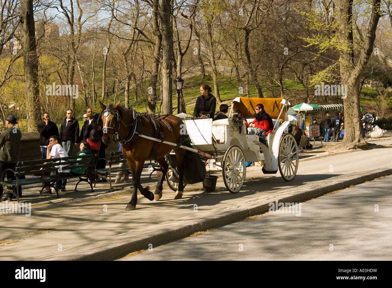 New York City New York Horse carriage ride in Central Park Stock Photo ...