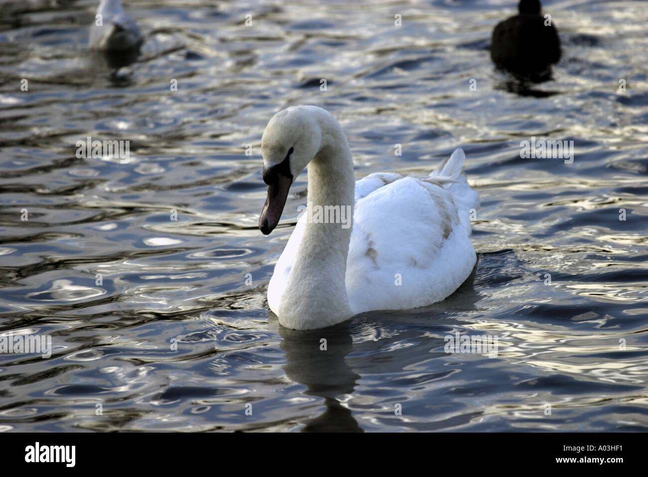 The garce hi-res stock photography and images - Alamy