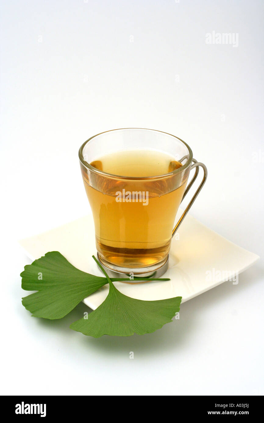 Two ginkgo biloba leaves hi-res stock photography and images - Alamy