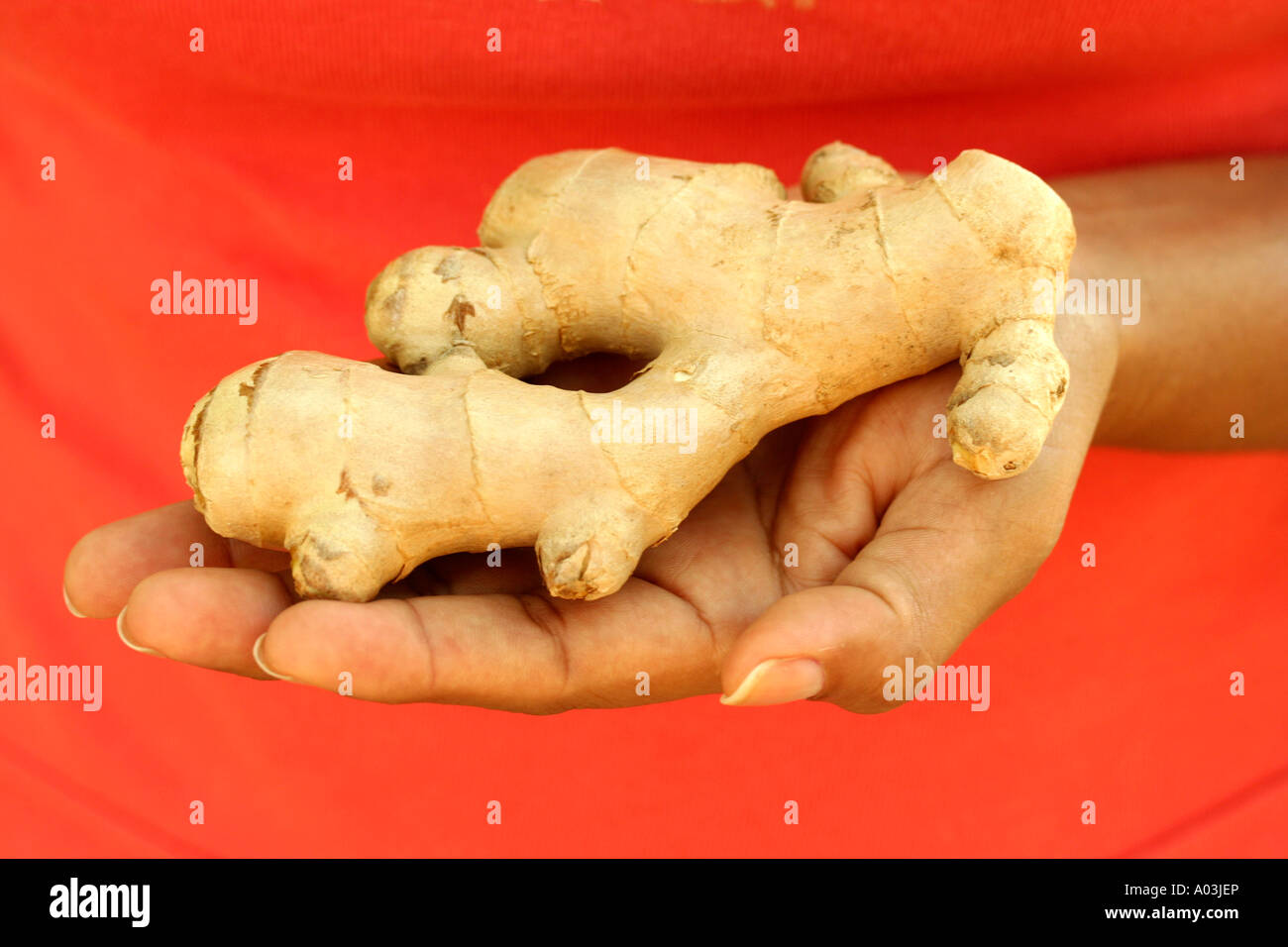 Fresh ginger hand tropical root hi-res stock photography and images - Alamy