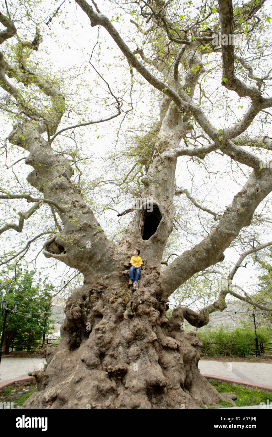 Krasi crete hi-res stock photography and images - Alamy
