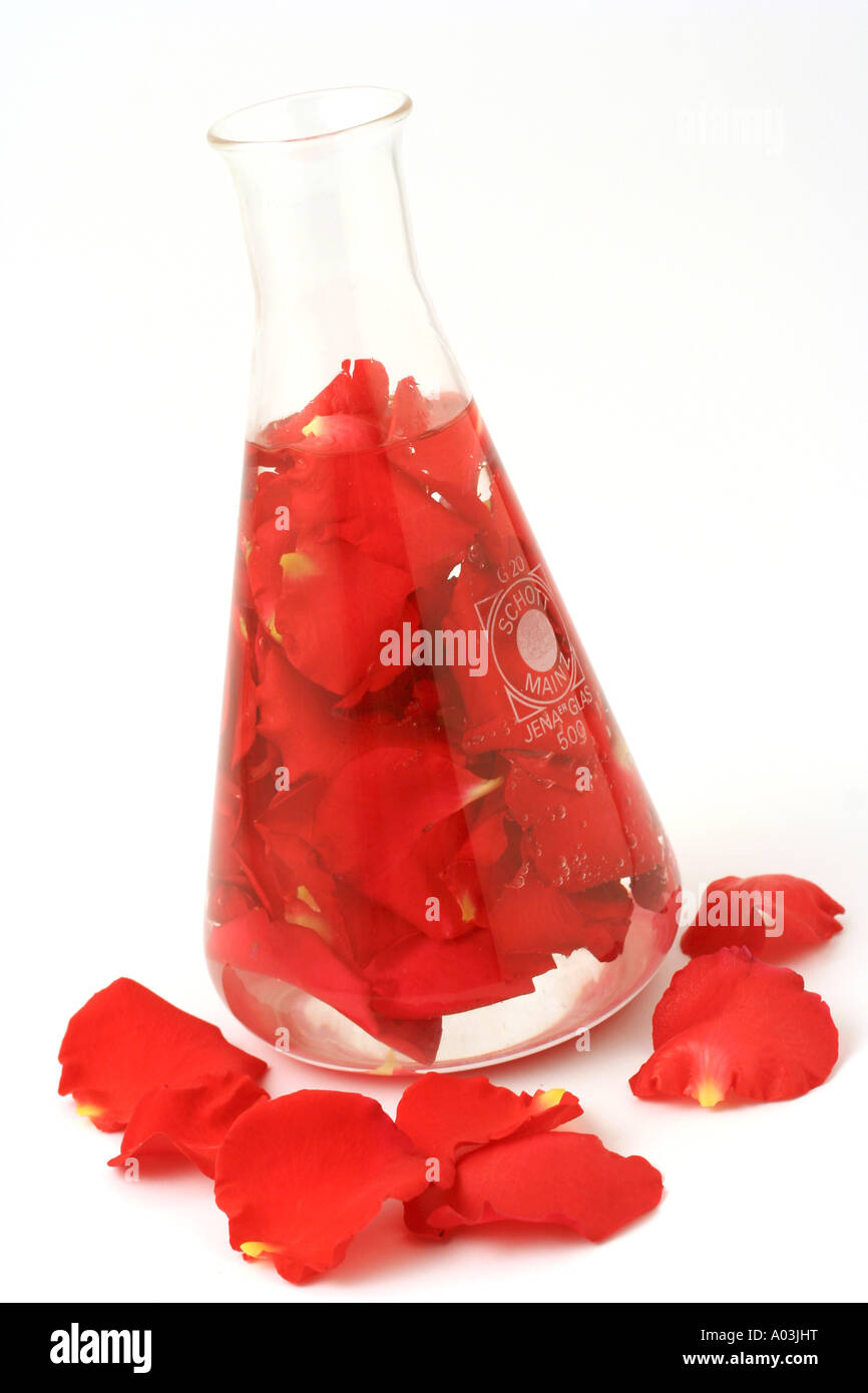 Water flask cut out hi-res stock photography and images - Alamy