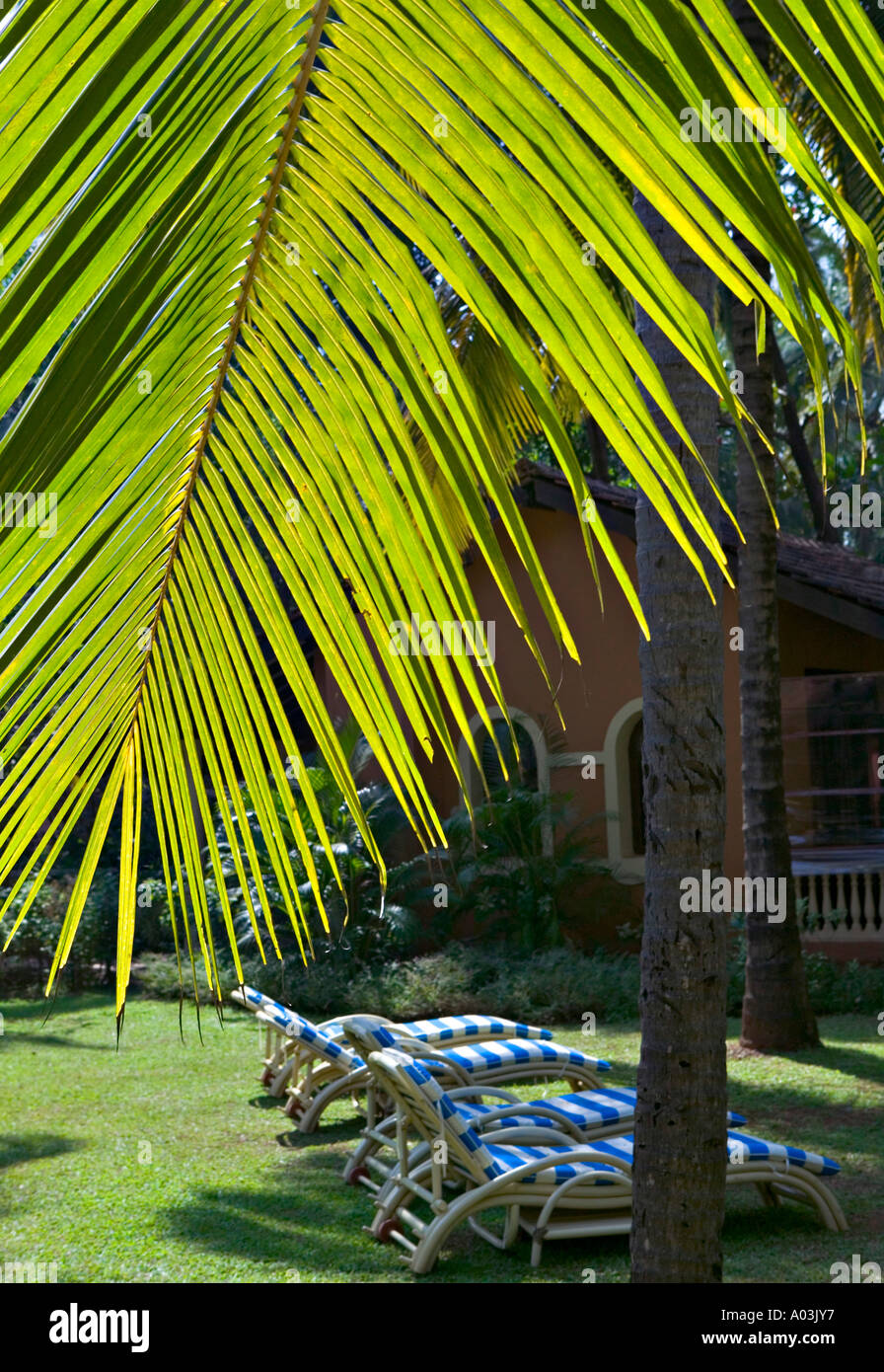 Sinquerim Beach, Goa, Panaji, India Stock Photo - Alamy Sinquerim Beach, Goa, Panaji, India Stock Photo - Alamy