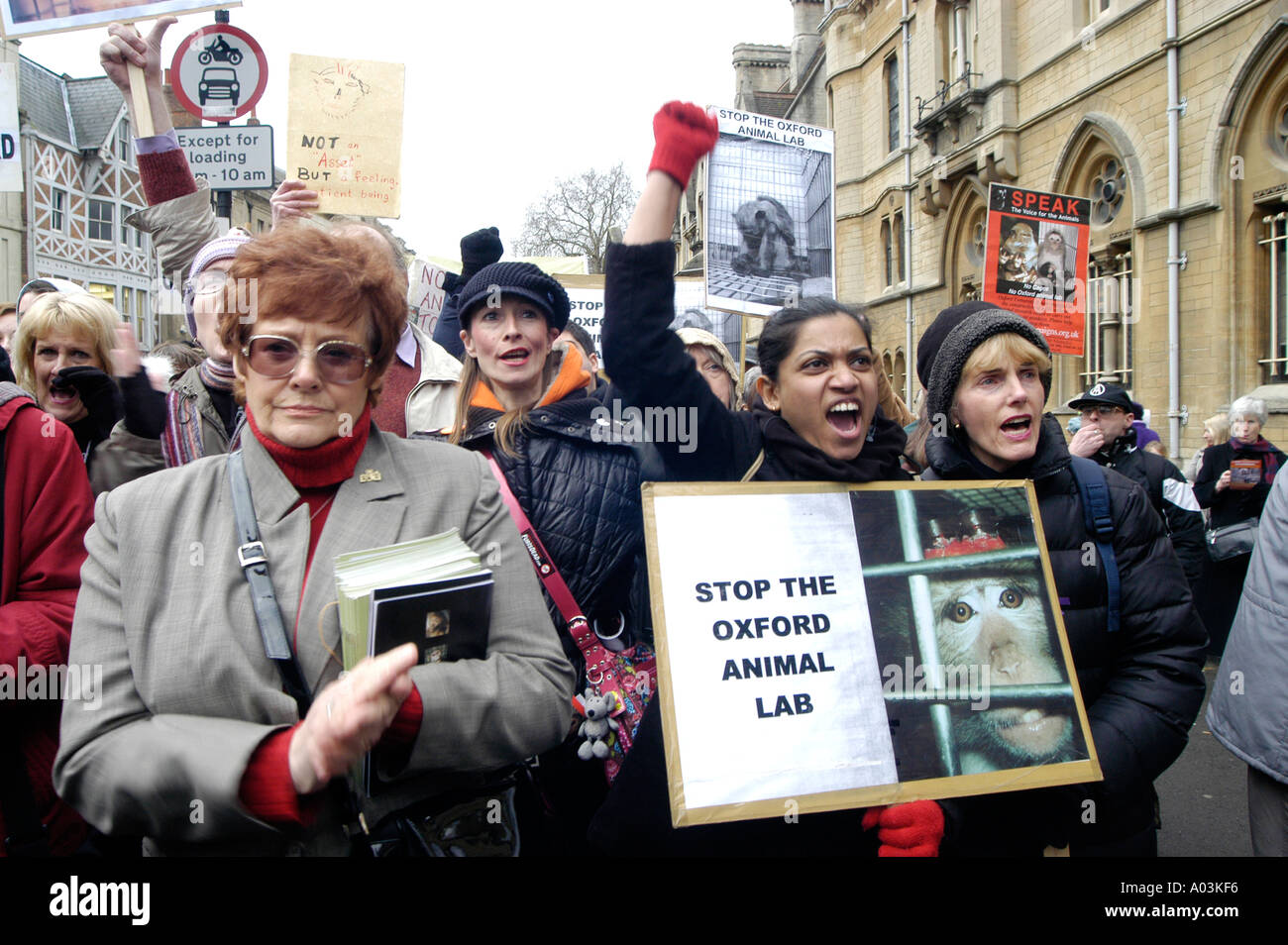 Animal rights protesters on a march in Oxford against the building of ...
