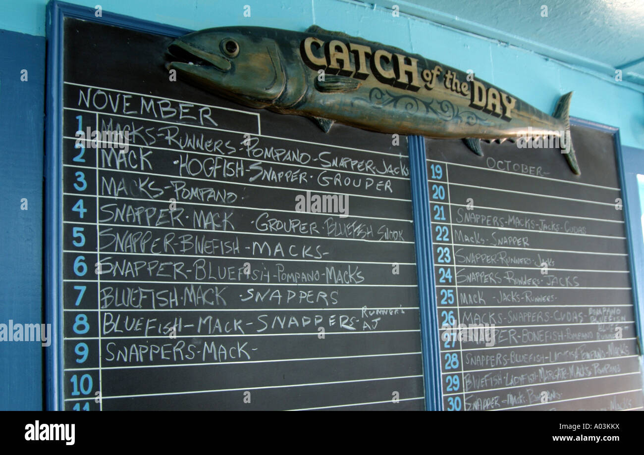 Catch of the Day. A list of fish species caught from the pier. Fort ...