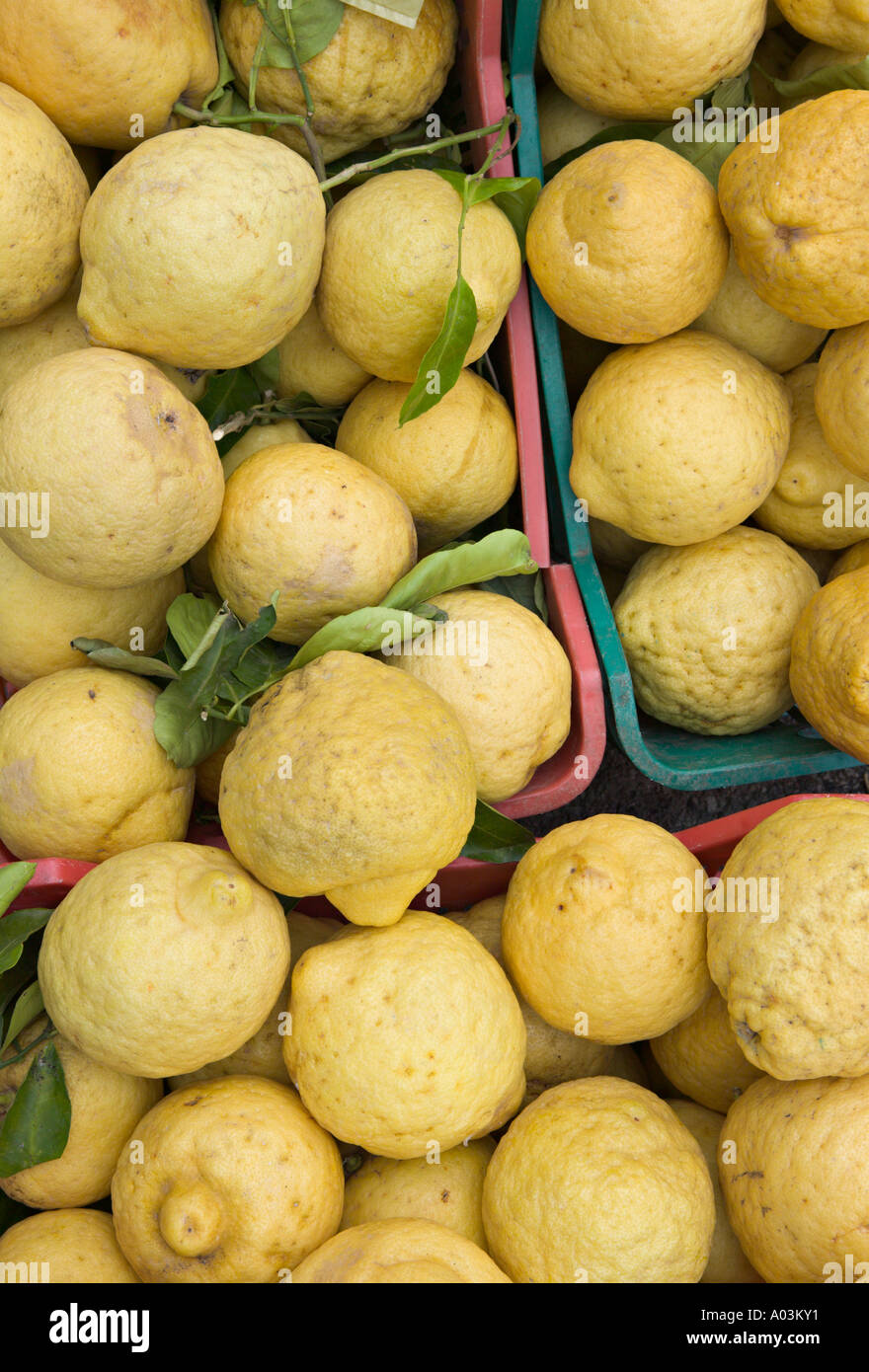 Lemons, Positano, Amalfi Coast, Italy Stock Photo - Alamy