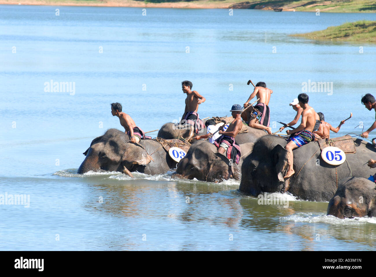 Elephant race during the Hué Festival , central Vietnam Stock Photo - Alamy