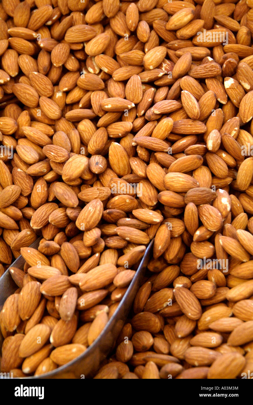 Almond nut seed snack Shelled kernel whole wholesome natural harvest ...
