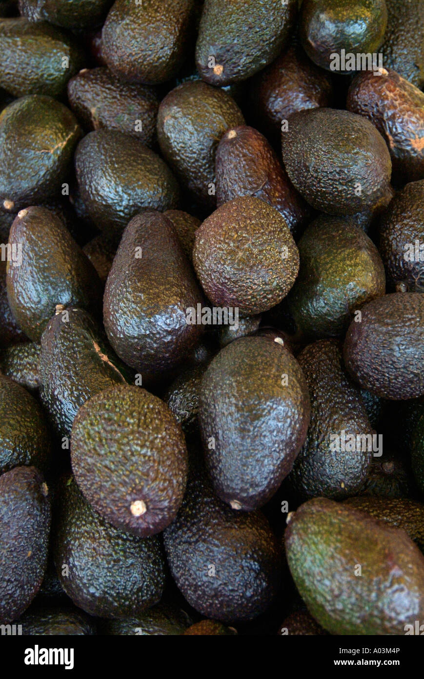 Avocardo ripe fresh food piece portions portion part fruit skin dark ...