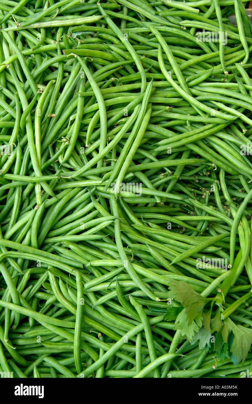 Unproces hi-res stock photography and images - Alamy