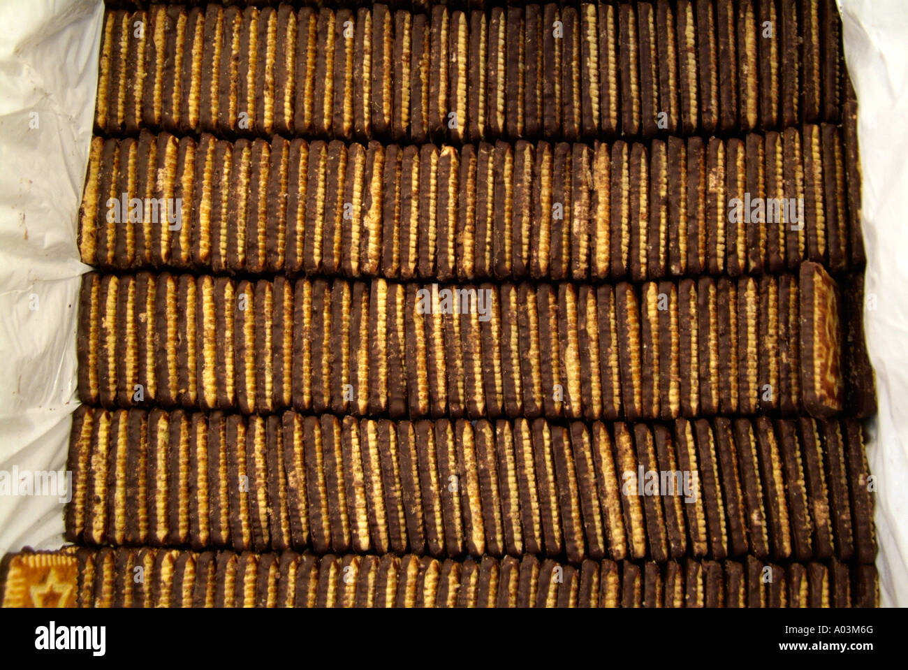 Biscuit flat rectangle rectangular eat sweet chocolate white milk plain ...