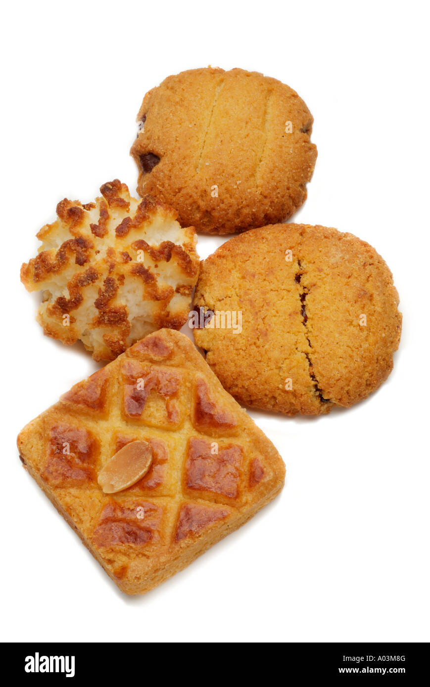 Biscuit flat rectangle rectangular eat sweet plain food desert ...