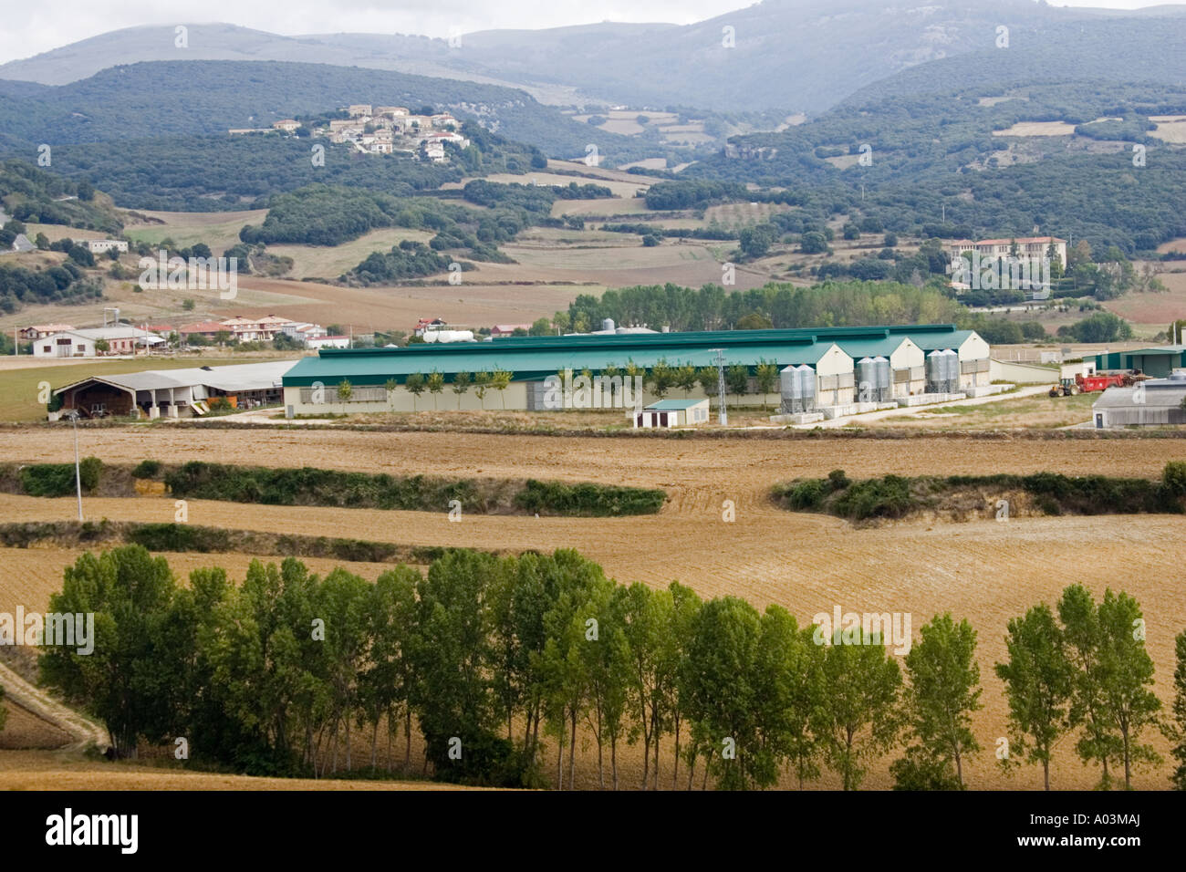 Large scale battery chicken farming near Estella Old Castille Spain ...