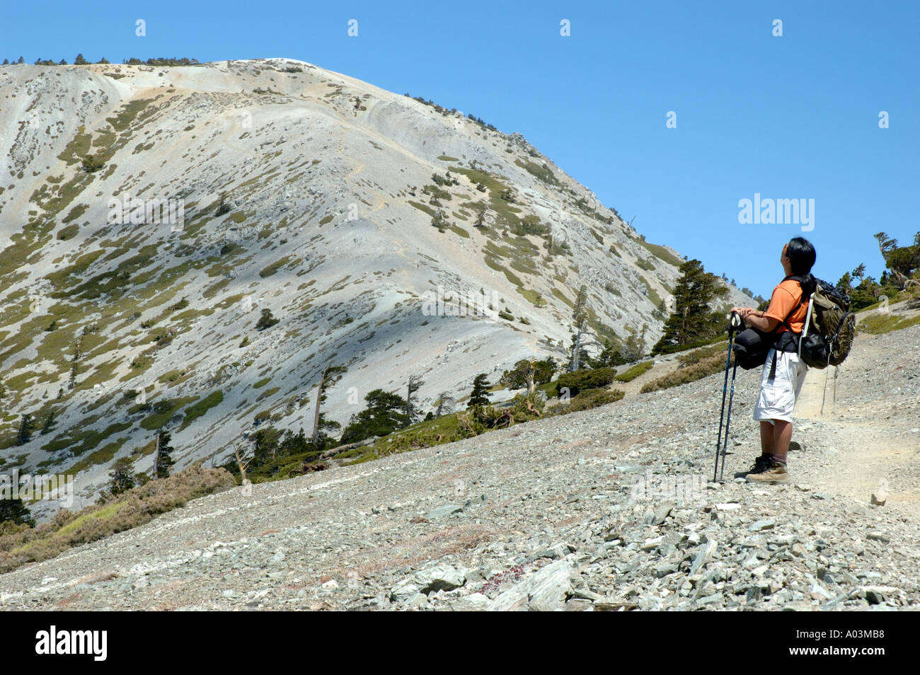 Hiker taking a break on Devil s Backbone Mount San Antonio California ...