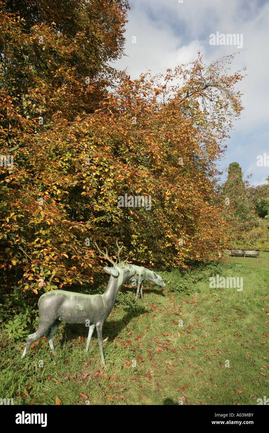 Batsford Arboretum in the cotswolds Near Moreton in Marsh open most of ...