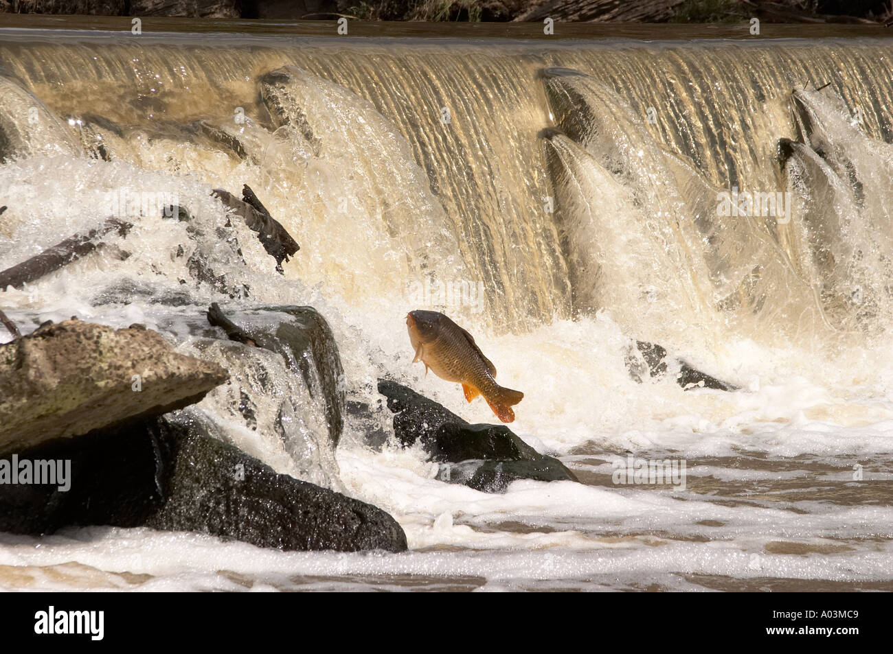 Air of desperation hi-res stock photography and images - Alamy