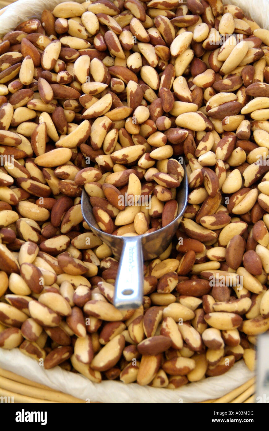 brazil nut seed snack Shelled kernel whole wholesome natural harvest ...