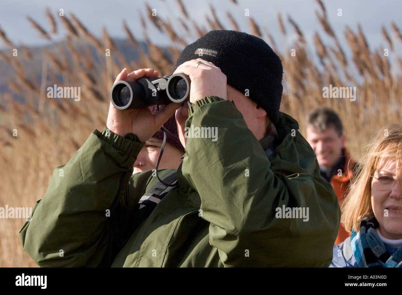 Bird watchers at RSPB reserve in North Wales GB UK Stock Photo - Alamy