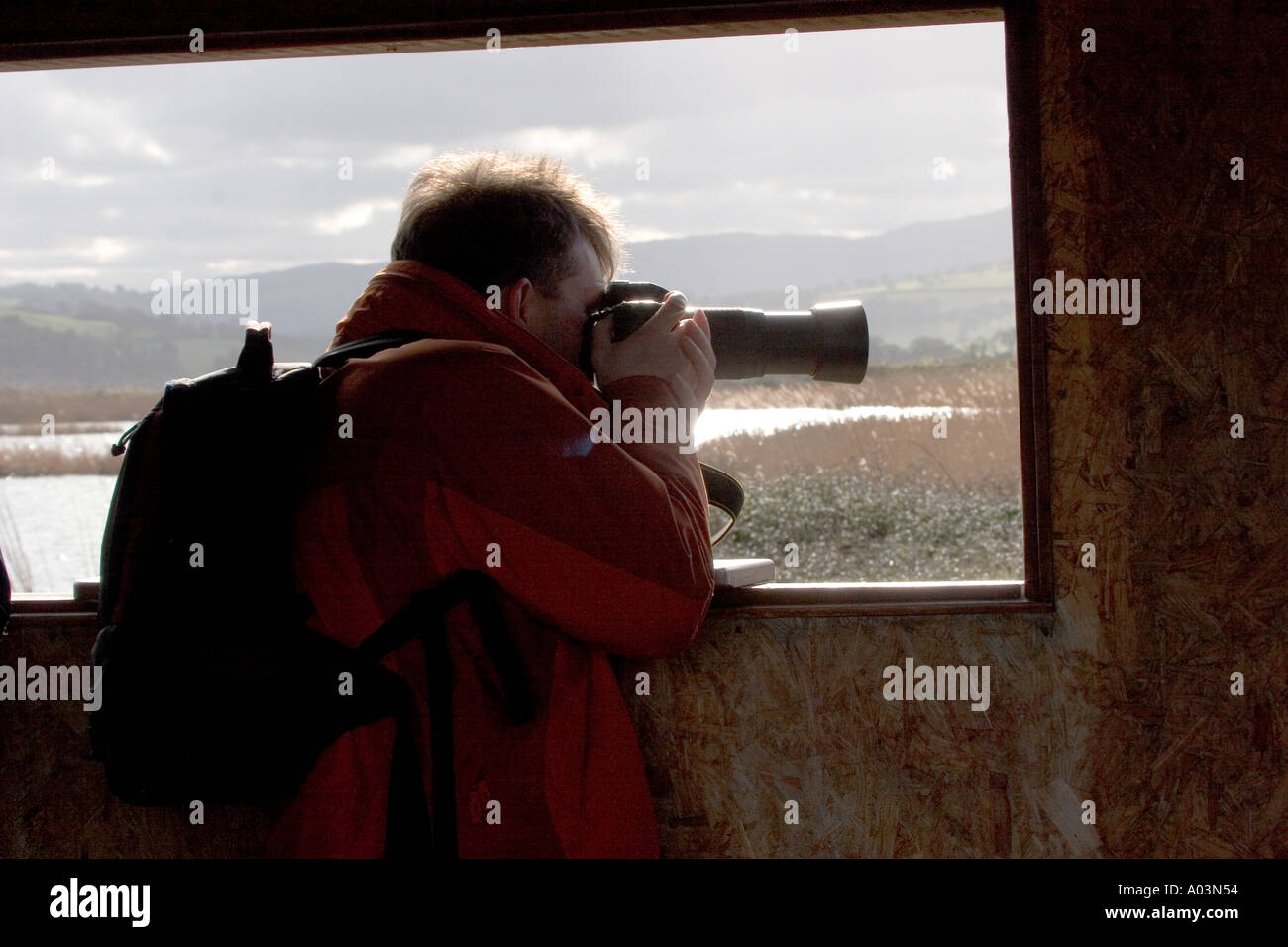 Bird watchers at RSPB reserve in North Wales GB UK Stock Photo - Alamy