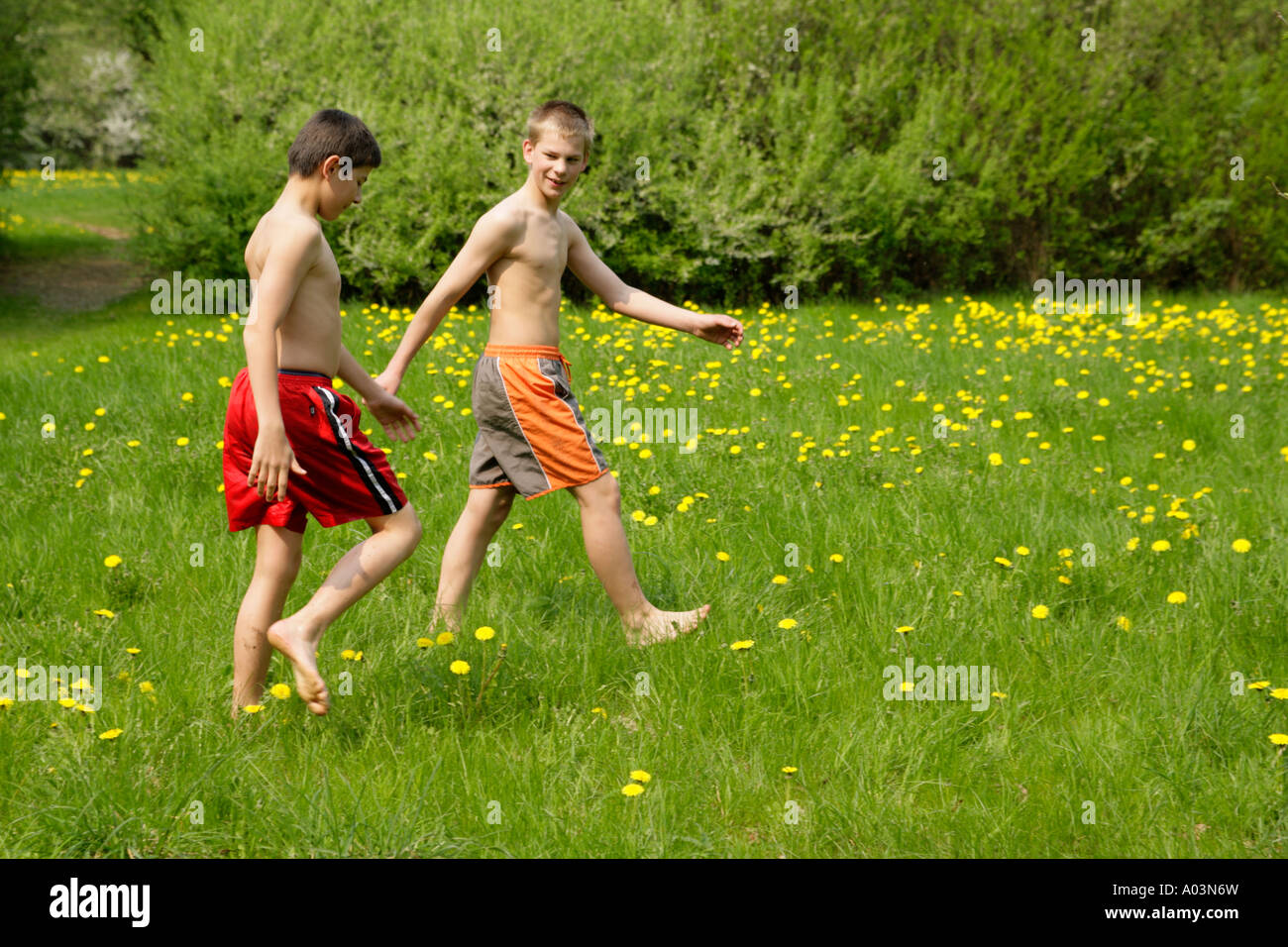 two young boys walking barefoot across a maedow Stock Photo: 9869856 ...