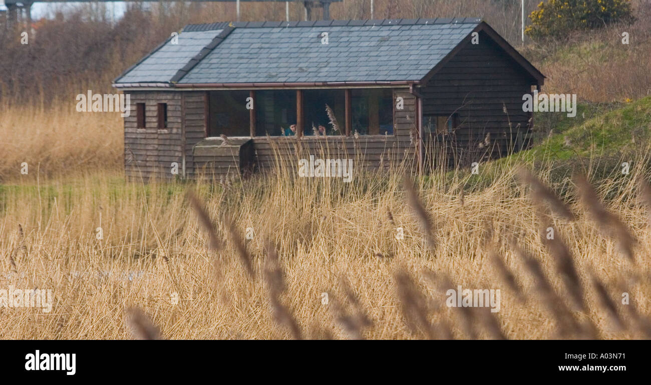 Bird spotters Hide at RSPB Reserve in Conwy North Wales GB UK Stock ...