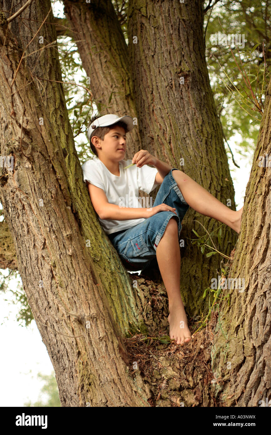 Page 2 - Boy Climbing Tree Barefoot High Resolution Stock Photography ...