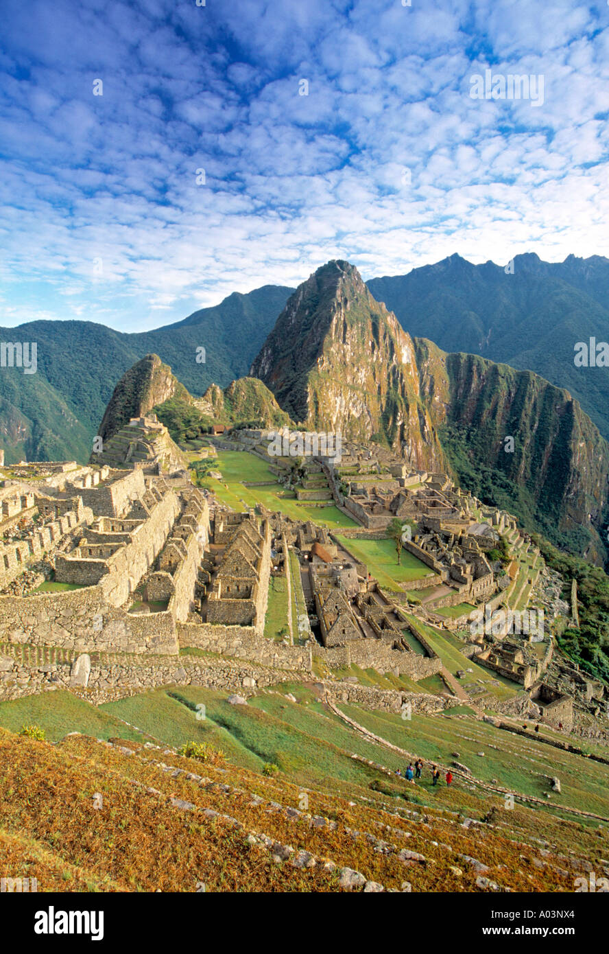 Pichu hi-res stock photography and images - Alamy