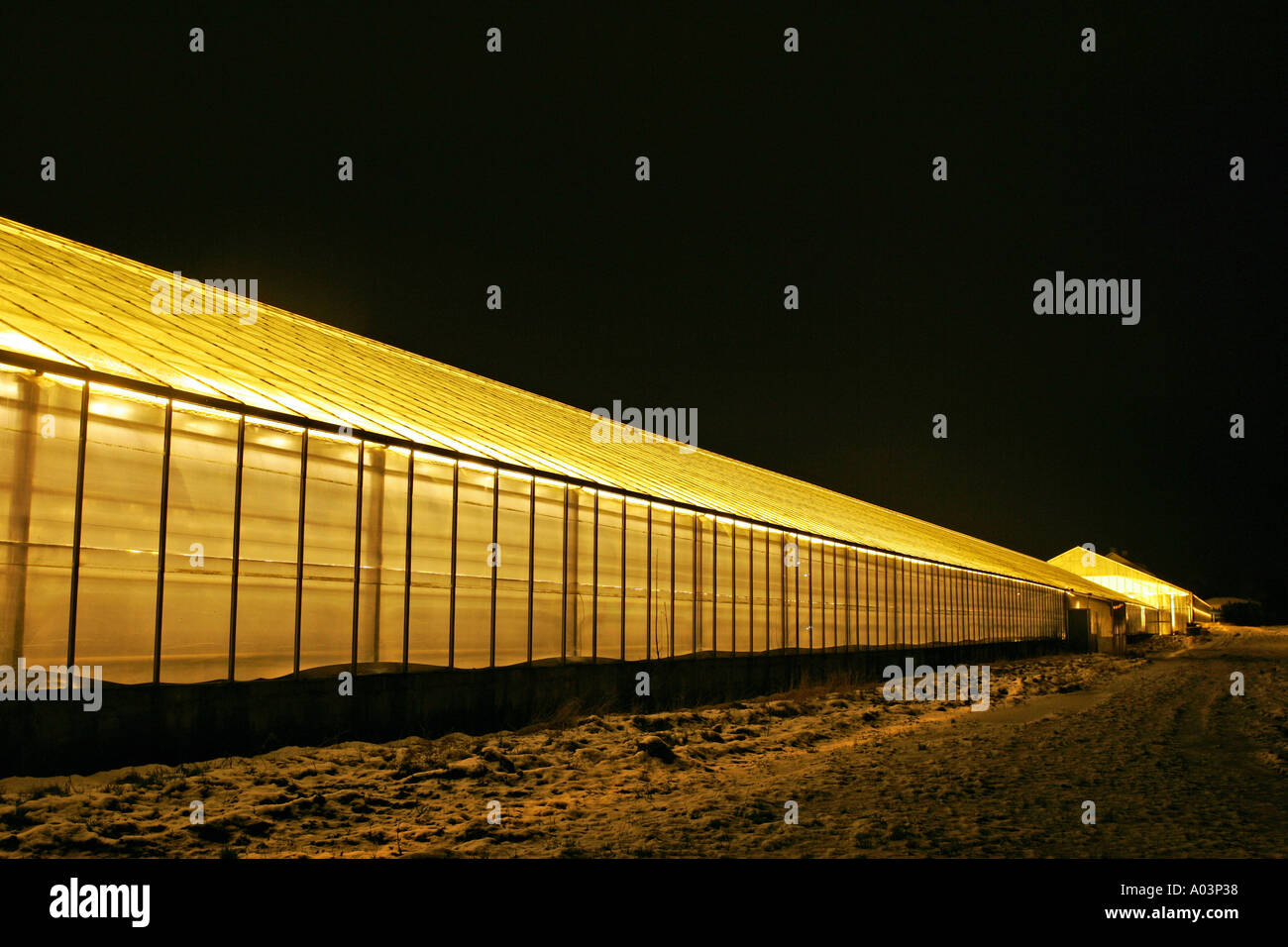 Greenhouse at night Stock Photo - Alamy