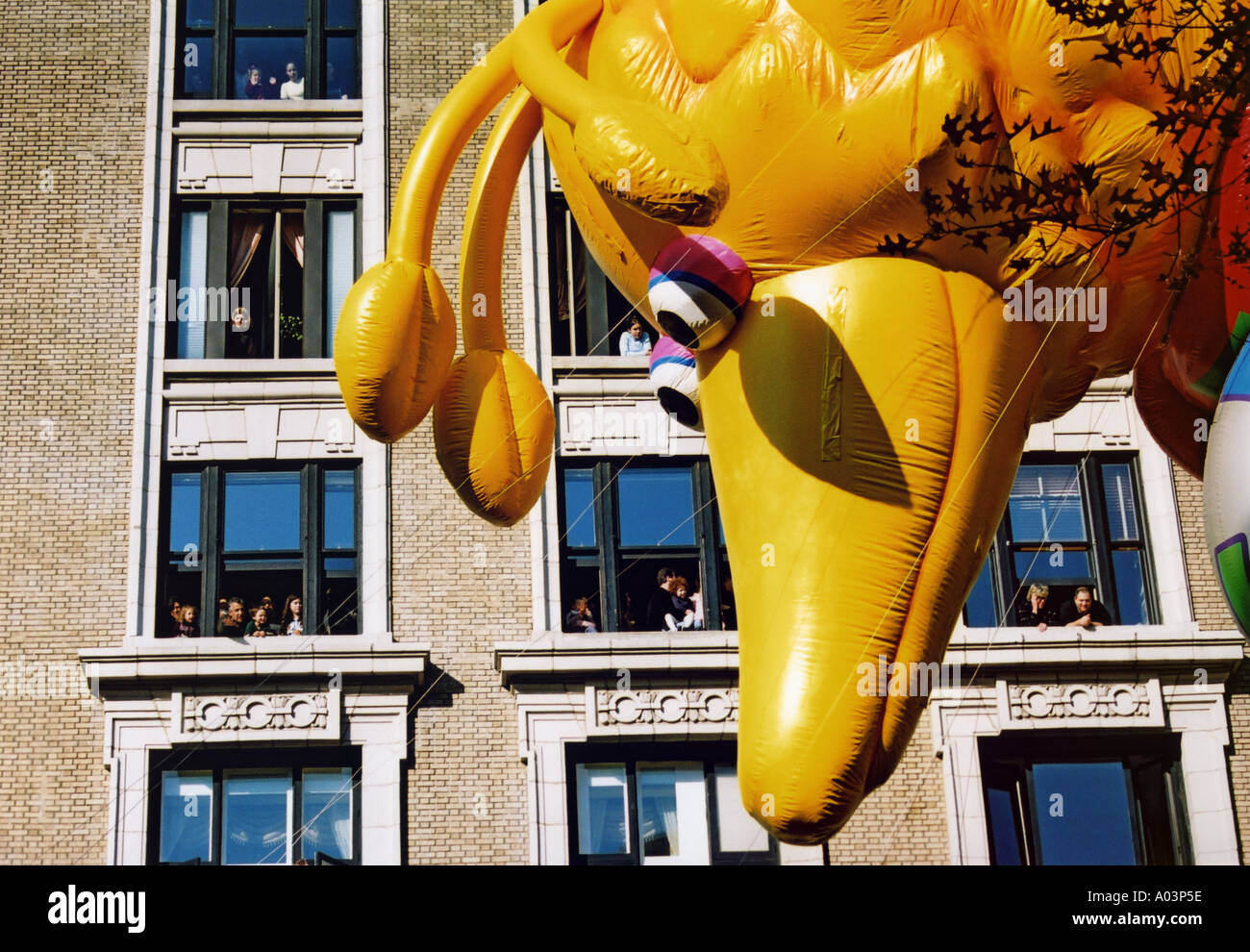 An inflatable model of Big Bird being led through the streets of New ...