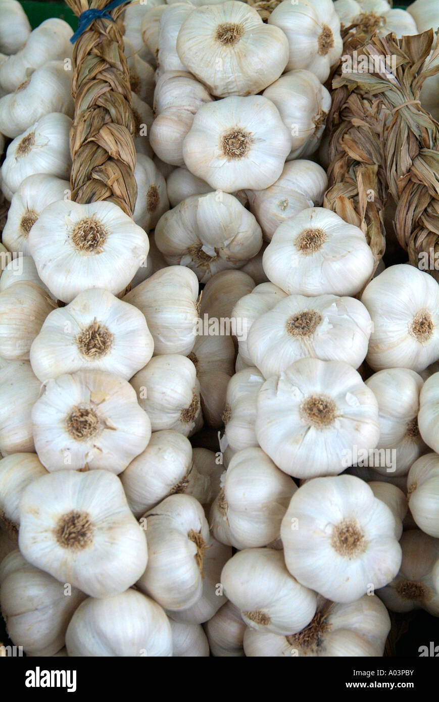 garlic onion string whole savoury fresh ingredient prepared processed ...