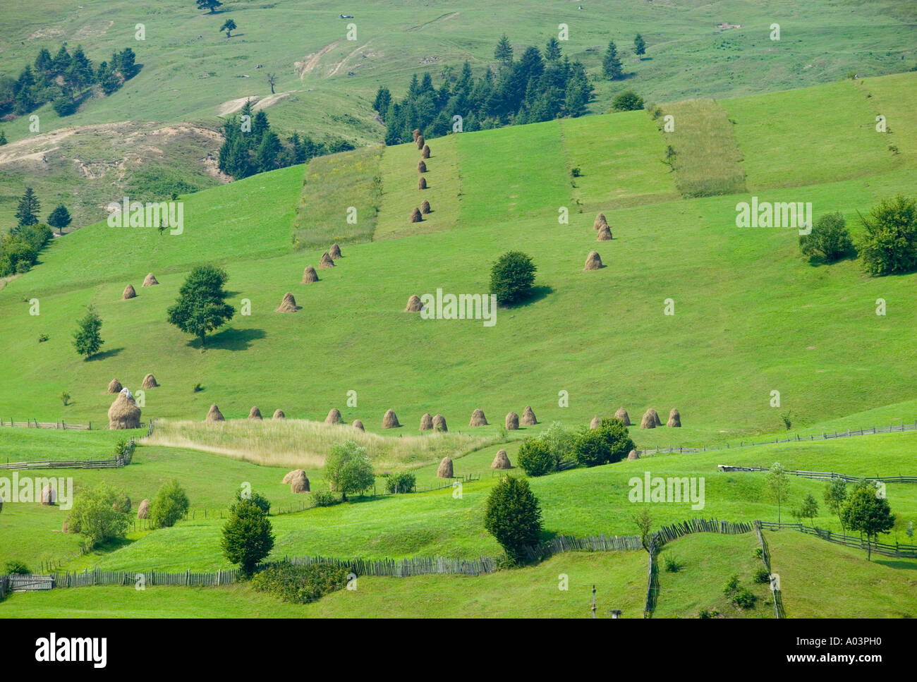 Moldavia countryside hi-res stock photography and images - Alamy