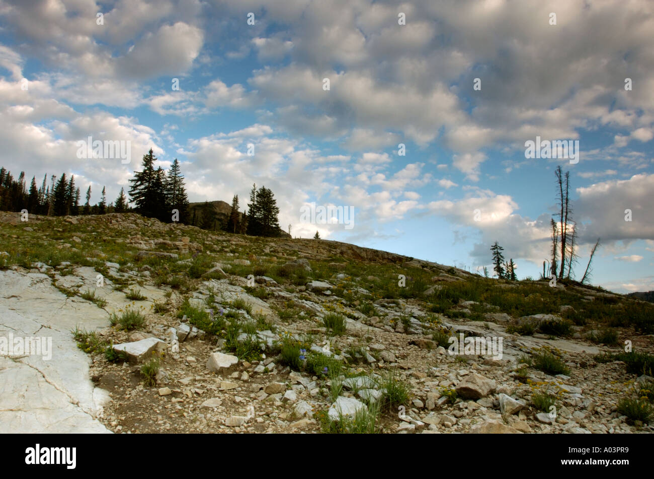 Albion basin hi-res stock photography and images - Alamy