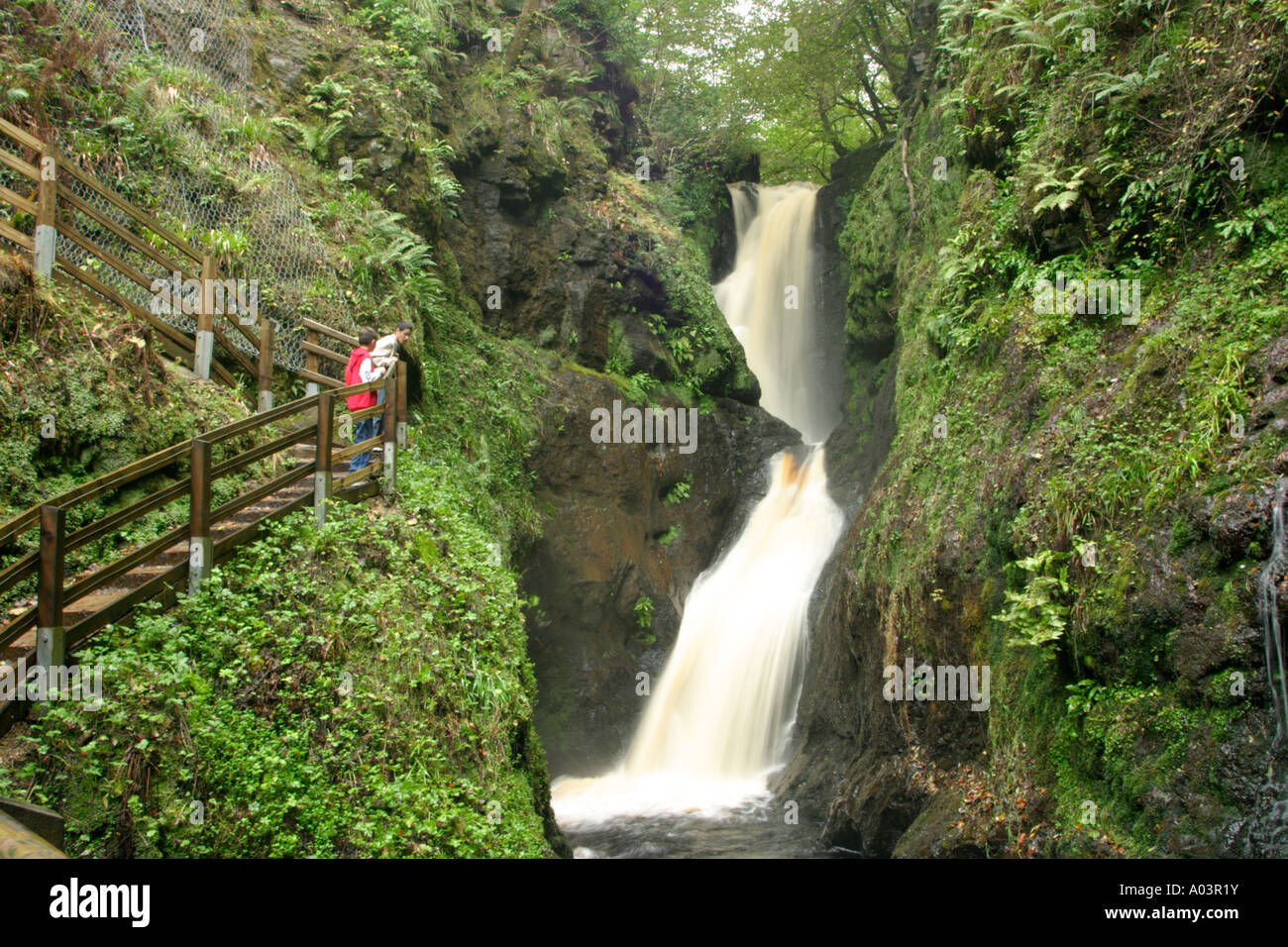 two boys looking at Ess-na-Larach Waterfall in the Glens of Antrim in ...