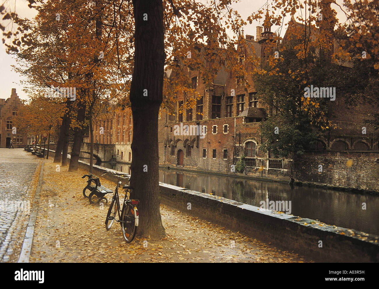 Autumn in Brugge, Belgium Stock Photo - Alamy