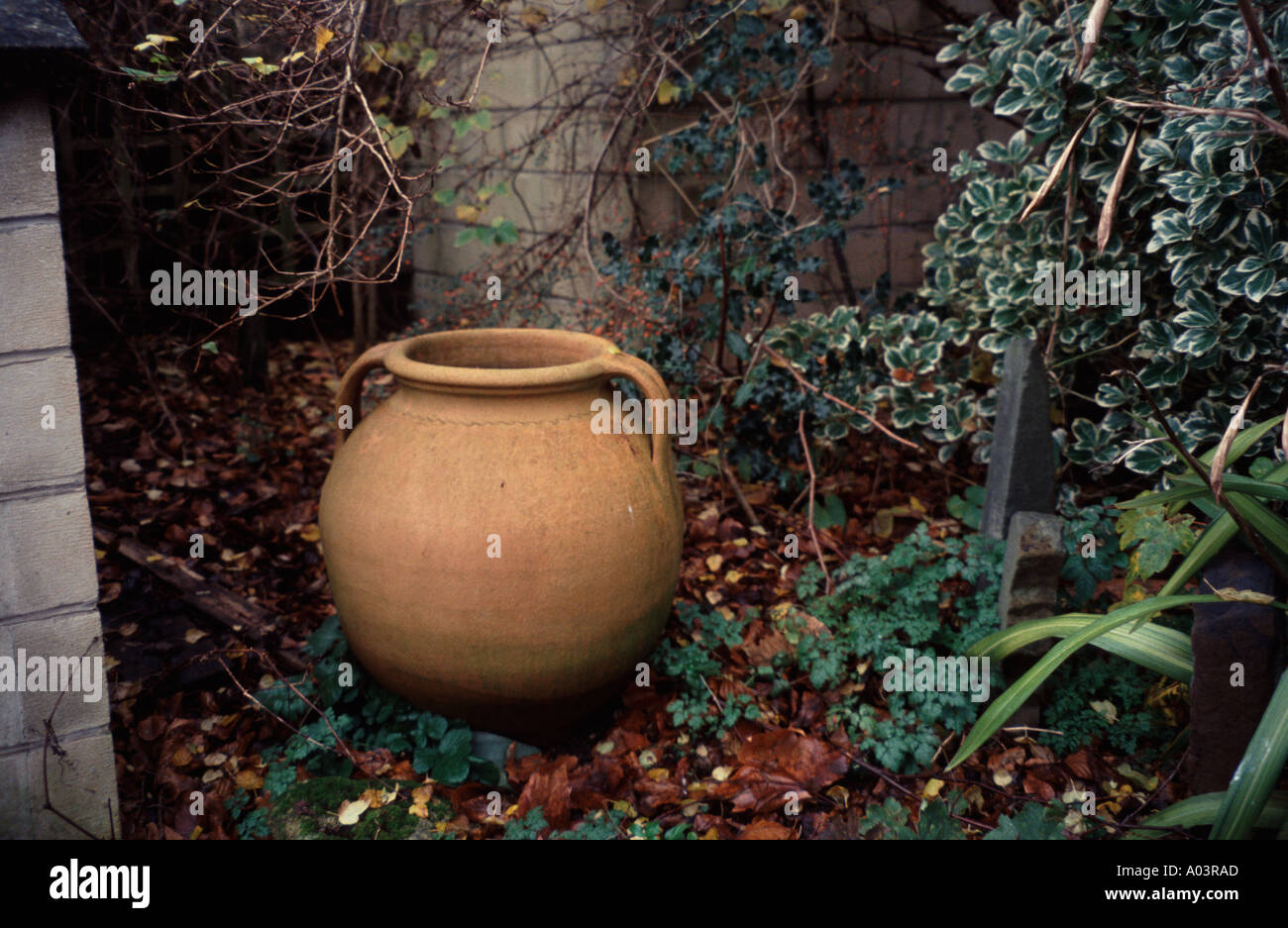 Earthenware Garden plant pot Bath Spa, Somerset, UK Stock Photo - Alamy