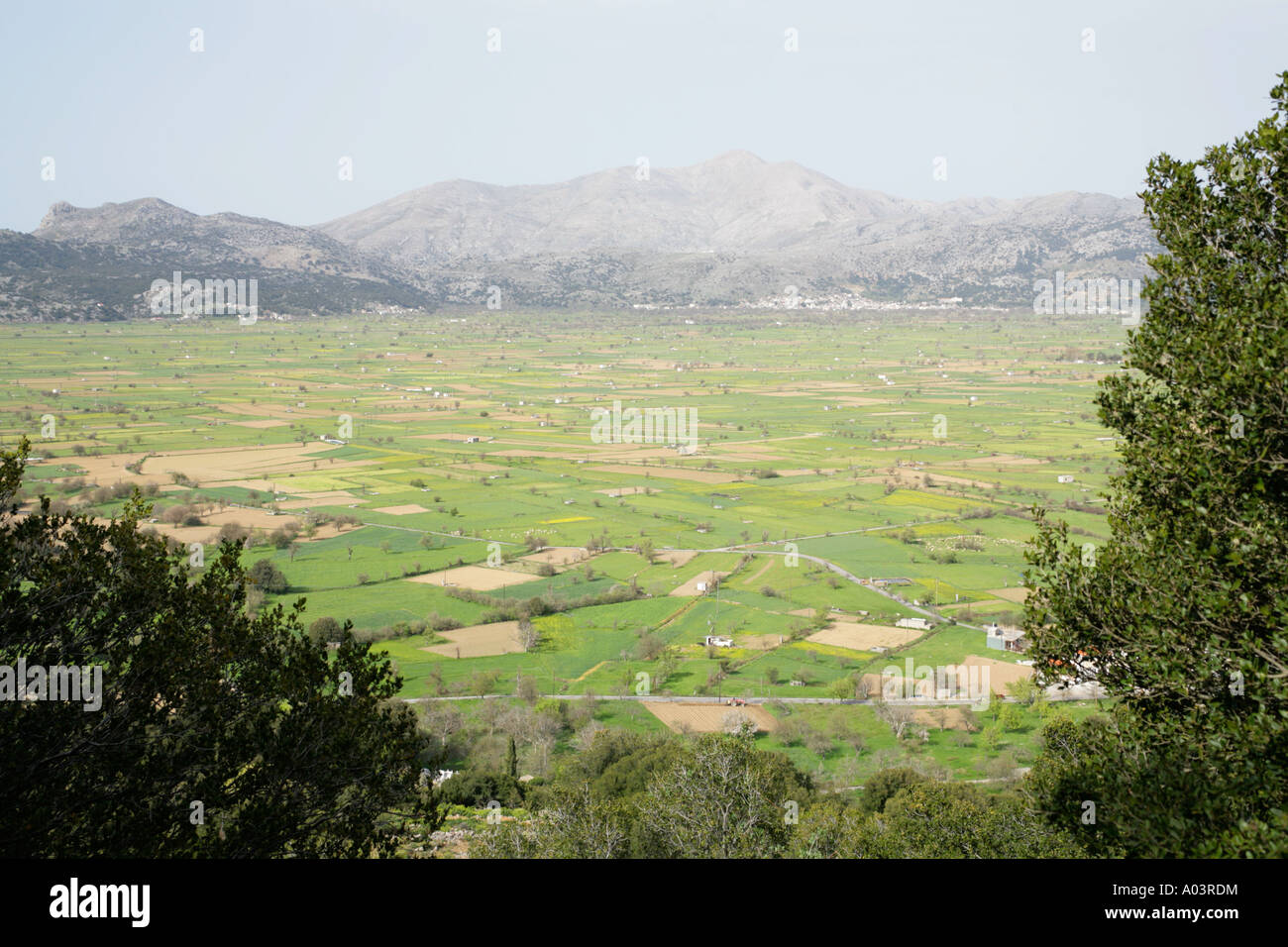Lassithi Plateau on the Greek Island of Crete Stock Photo - Alamy